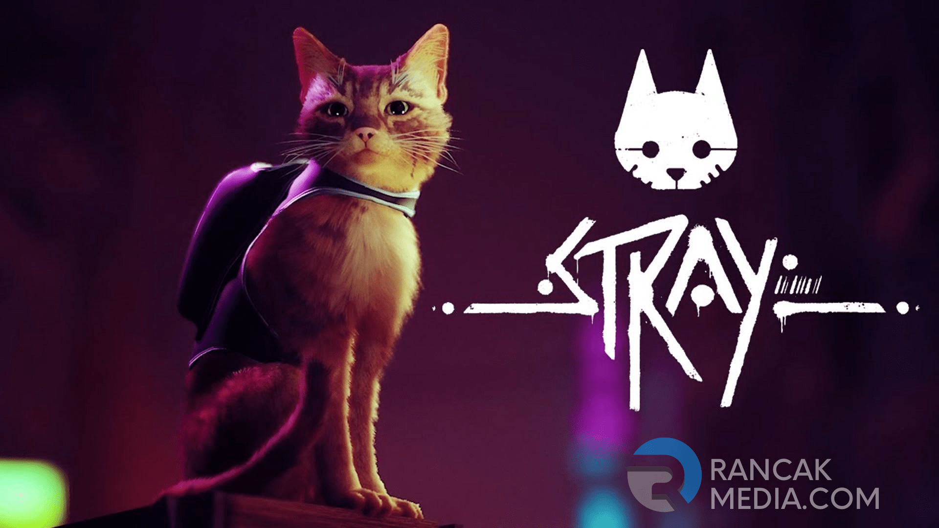 Download Game Stray Di Semua Perangkat Secara Gratis